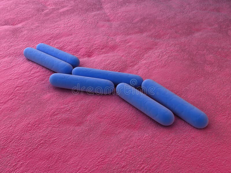 Bacil - subtilis stock illustratie. Illustration of cellen - 5563826