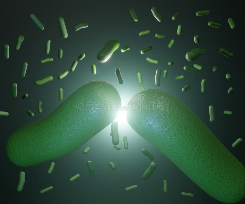 Bacillus Bacteria Swimming in the Water Stock Illustration ...