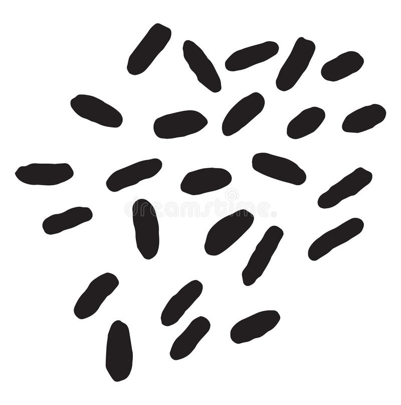 Bacillus Typhosus, Vintage Engraving Stock Vector - Illustration of ...