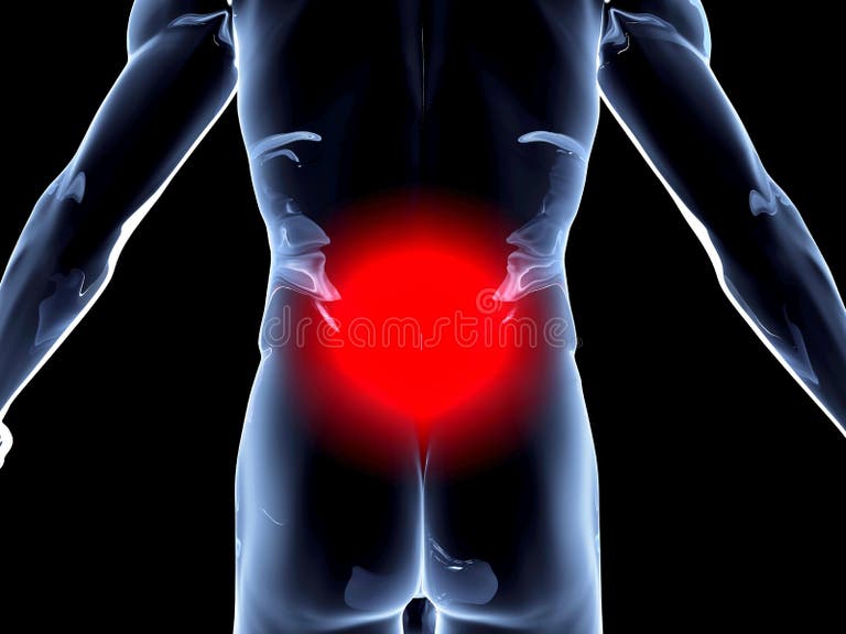 Back Ache Anatomy Stock Illustrations – 3,567 Back Ache Anatomy Stock ...