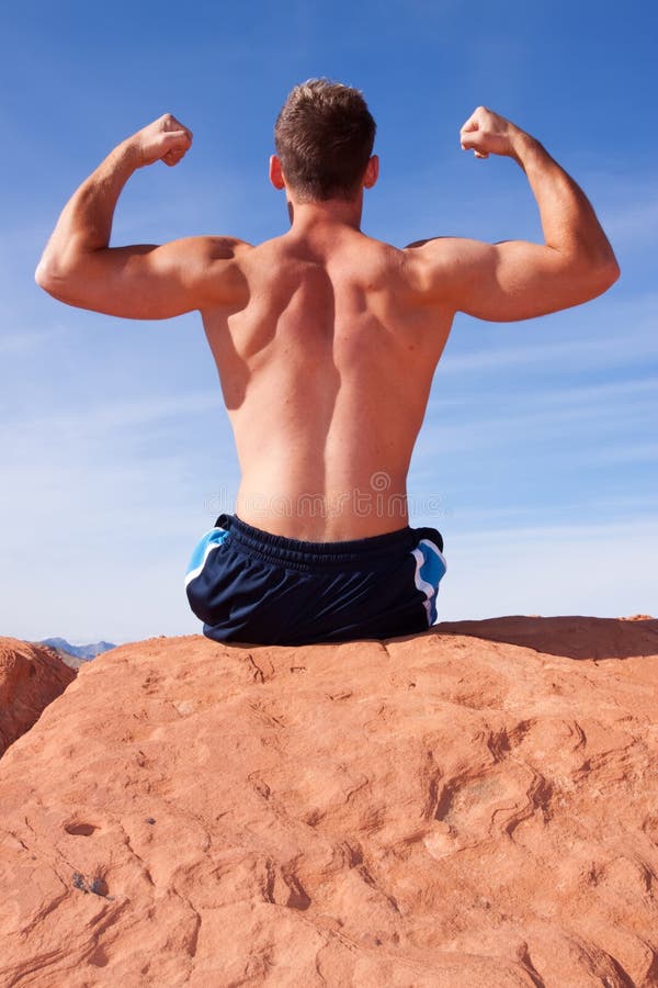 Back of a body builder stock photo. Image of healthy - 13205106