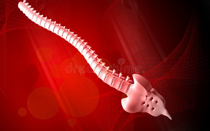 Back bone stock illustration. Illustration of effects - 11395711