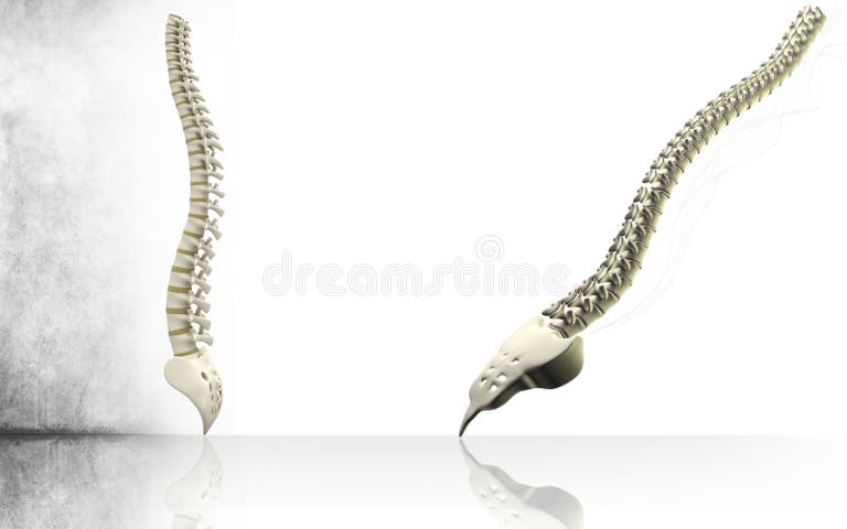 Bone Colour Stock Illustrations – 797 Bone Colour Stock Illustrations ...