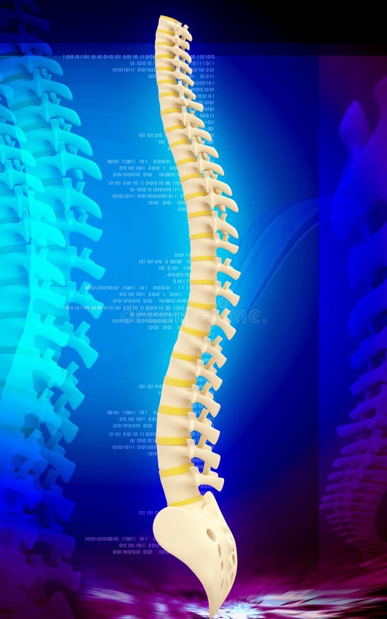 Bone Colour Stock Illustrations – 797 Bone Colour Stock Illustrations ...