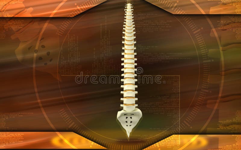 Back bone stock illustration. Illustration of vertebral - 44824823