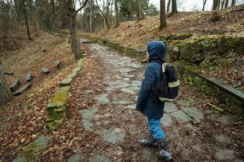 Back of Boy with Backpack Walking Along the Forest Stone Road after ...