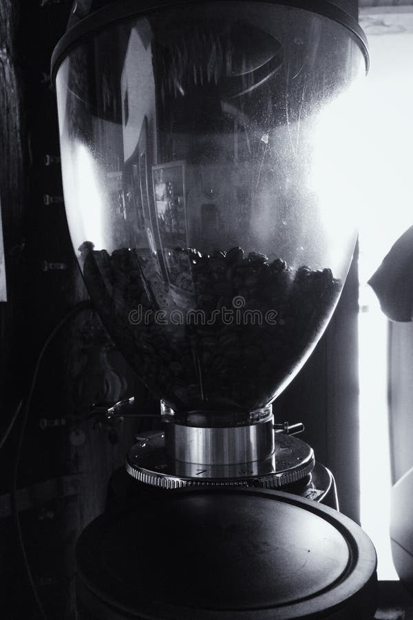 Back coffee stock image. Image of back, cool, fresh, latte - 84764197