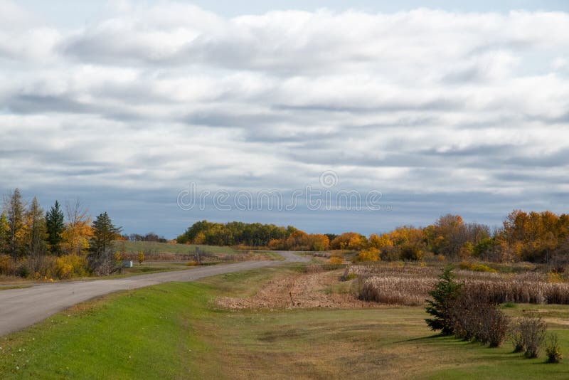 Back Country Road on the Canadian Prairies in Fall Stock Photo - Image ...