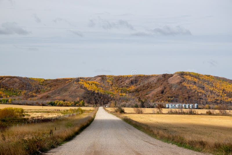 Back Country Road on the Canadian Prairies in Fall Stock Image - Image ...