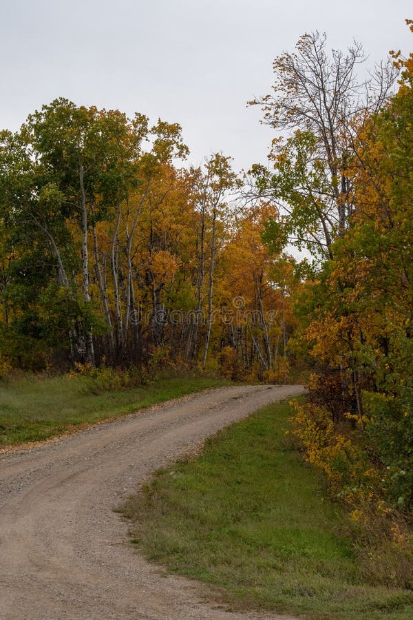 Back Country Road on the Canadian Prairies in Fall Stock Image - Image ...