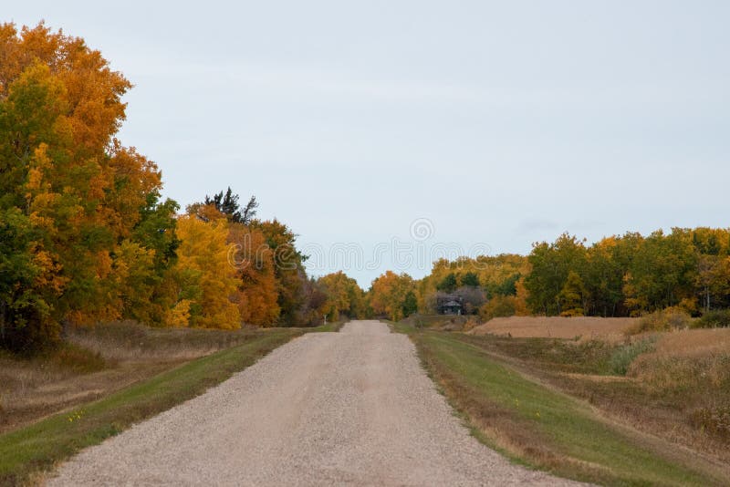 Back Country Road on the Canadian Prairies in Fall Stock Image - Image ...