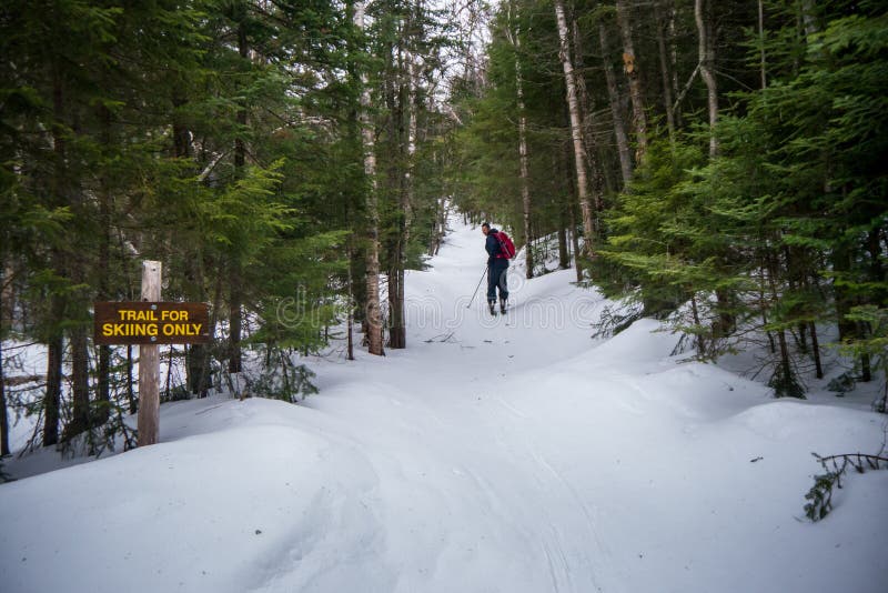 Back-country Skier on a Trail in the Woods Stock Photo - Image of ...