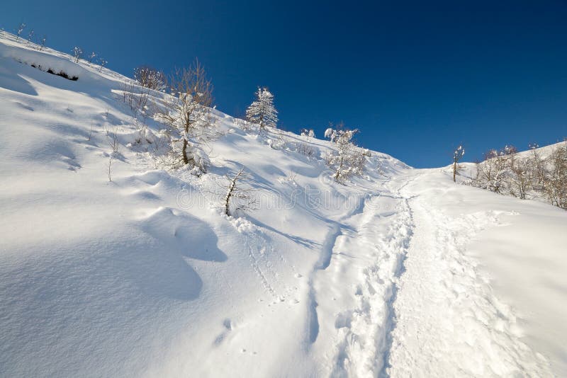 Back country skiing stock photo. Image of exploration - 29502516
