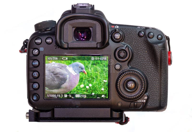 Dslr Camera Back Lcd Screen Stock Photos - Free & Royalty-Free Stock ...