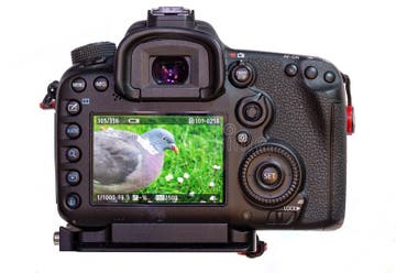 Dslr Camera Back Lcd Screen Stock Photos - Free & Royalty-Free Stock ...
