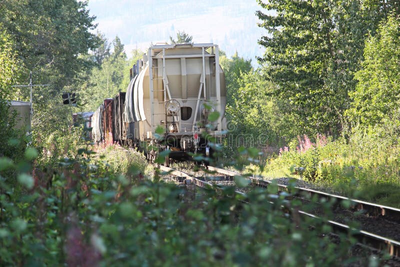 The Back End of a Train As it Goes through a Wooded Area Stock Photo ...