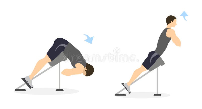 Back Hyperextension Stock Illustrations – 10 Back Hyperextension Stock ...