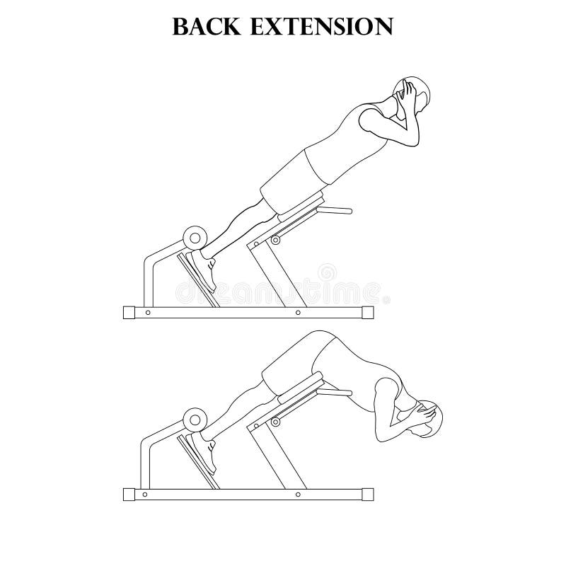 Back Extension Exercise Strength Workout Vector Illustration Outline ...