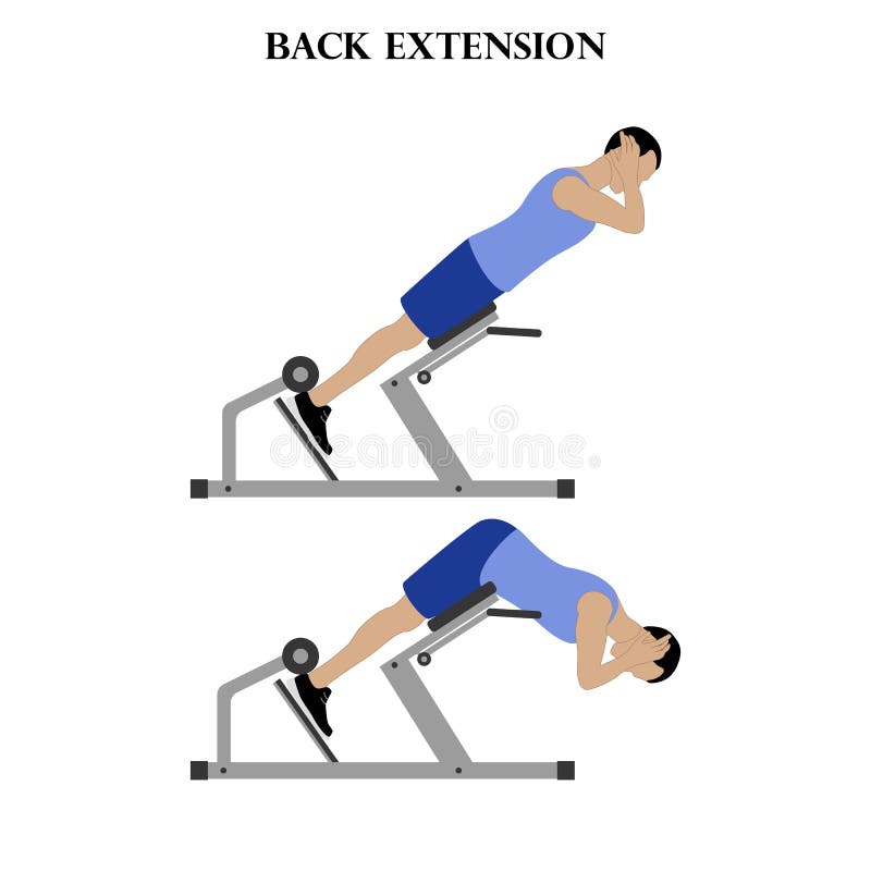 Back Extension Exercise Strength Workout Vector Illustration Stock ...