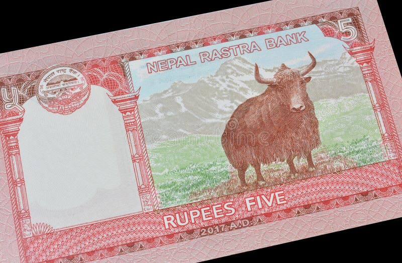 Back of Five Rupees Paper Banknote Printed by Nepal Editorial Stock ...