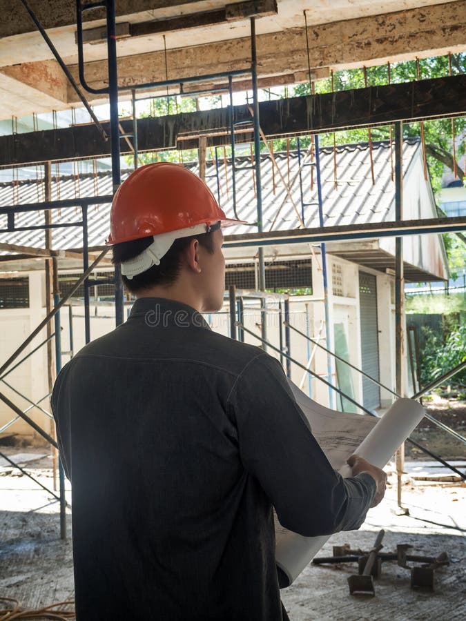 Back of Foreman with Blueprint Stock Image - Image of project ...