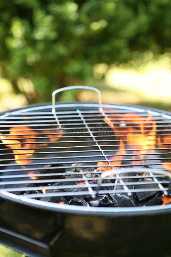 Back Garden Barbecue stock image. Image of coals, barbecue - 2418611