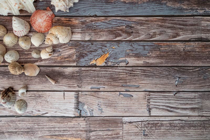 Shells on a Wooden Background in the Corner Stock Photo - Image of ...