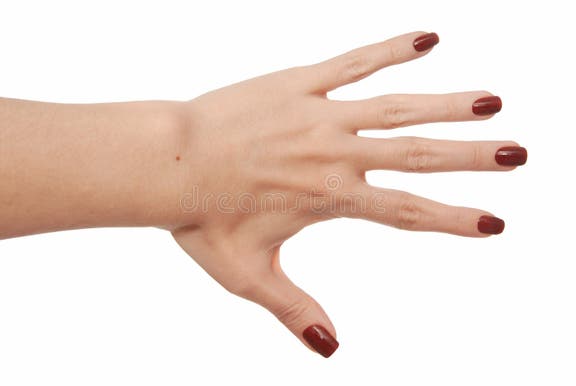 7,160 Open Back Hand Stock Photos - Free & Royalty-Free Stock Photos ...