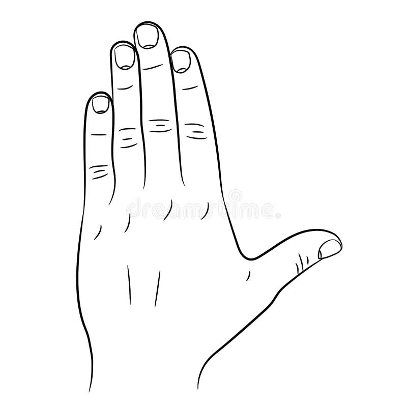 Back of the Hand with the Thumb Retracted Monochrome I Stock ...