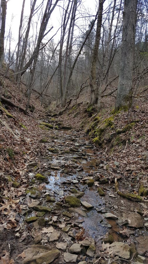 943 Holler Photos - Free & Royalty-Free Stock Photos from Dreamstime