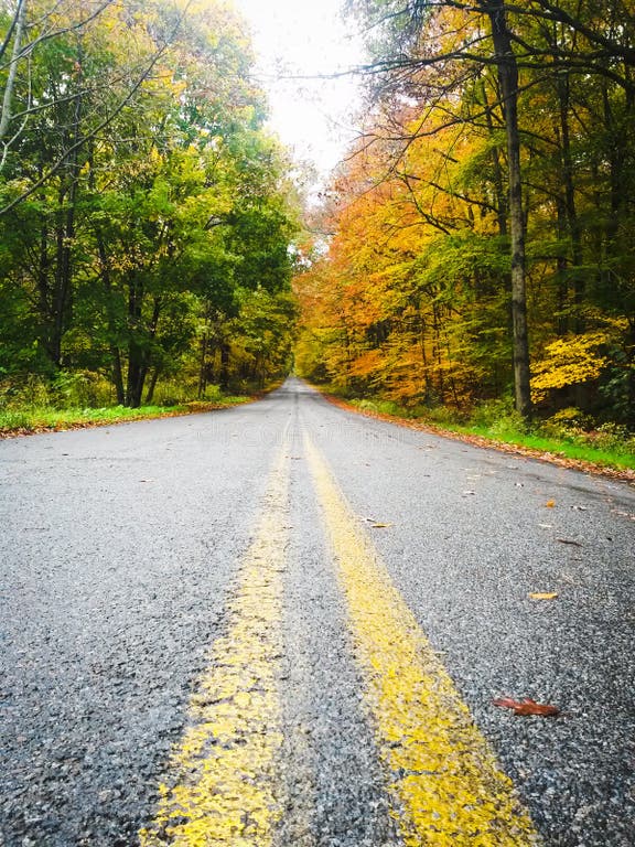 Back holler road stock photo. Image of trees, fall, colorful - 45760570