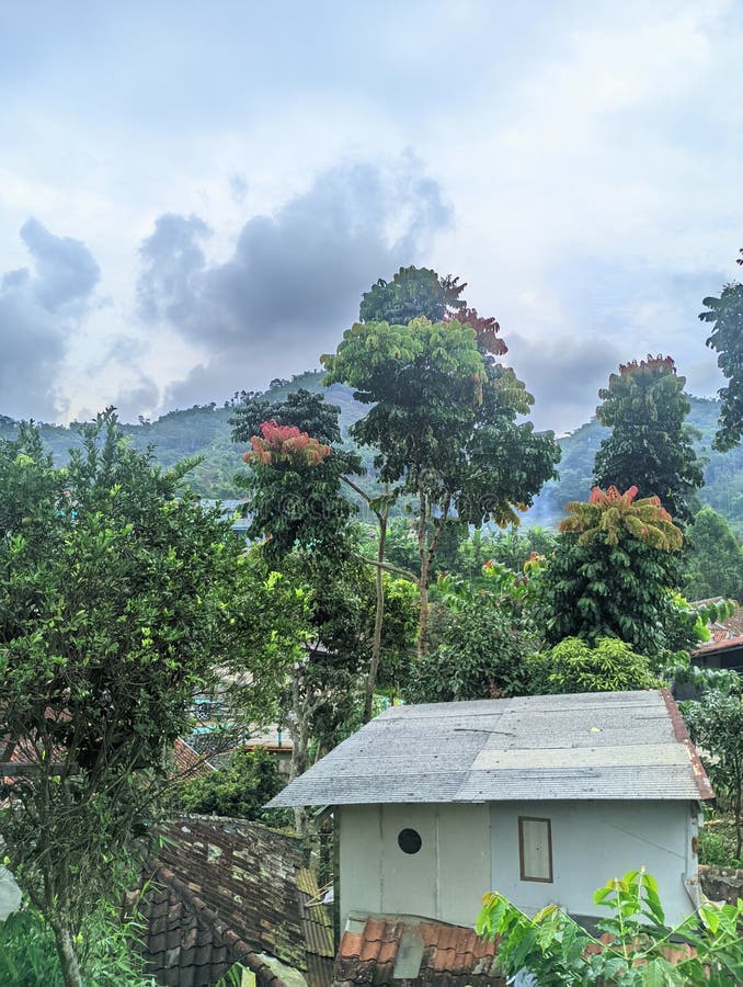 The Back of the House is Very Simple, Beautiful Stock Image - Image of ...