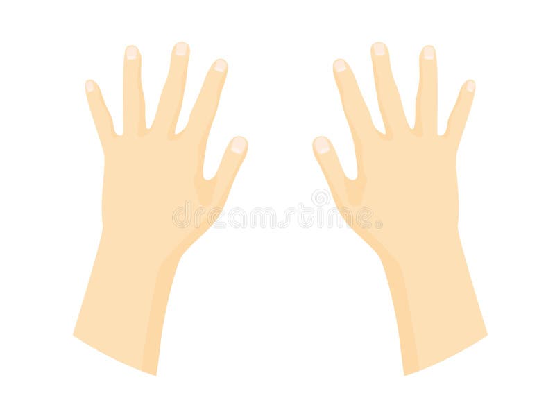 Back of human hands stock vector. Illustration of hand - 245044999