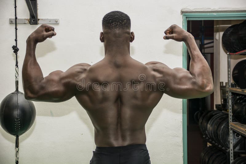 Back of Hunky Black Male Bodybuilder in Gym Stock Photo - Image of ...