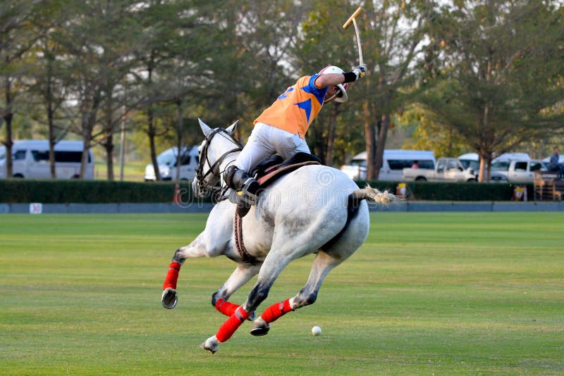 How To Ride A Polo Horse at Claudia Aunger blog