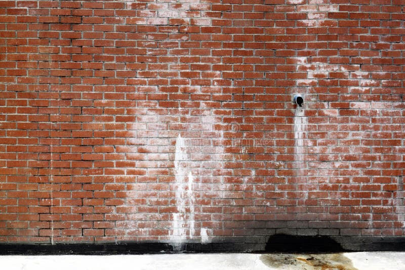 551 Bleeding Wall Stock Photos - Free & Royalty-Free Stock Photos from ...