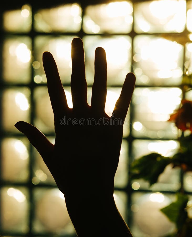 Back light open hand stock image. Image of dark, adult - 59230267