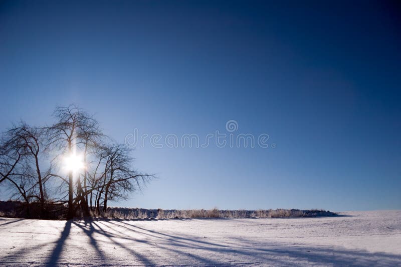 Back Light Winter Landscape Stock Image - Image of iciness, frost: 11532695
