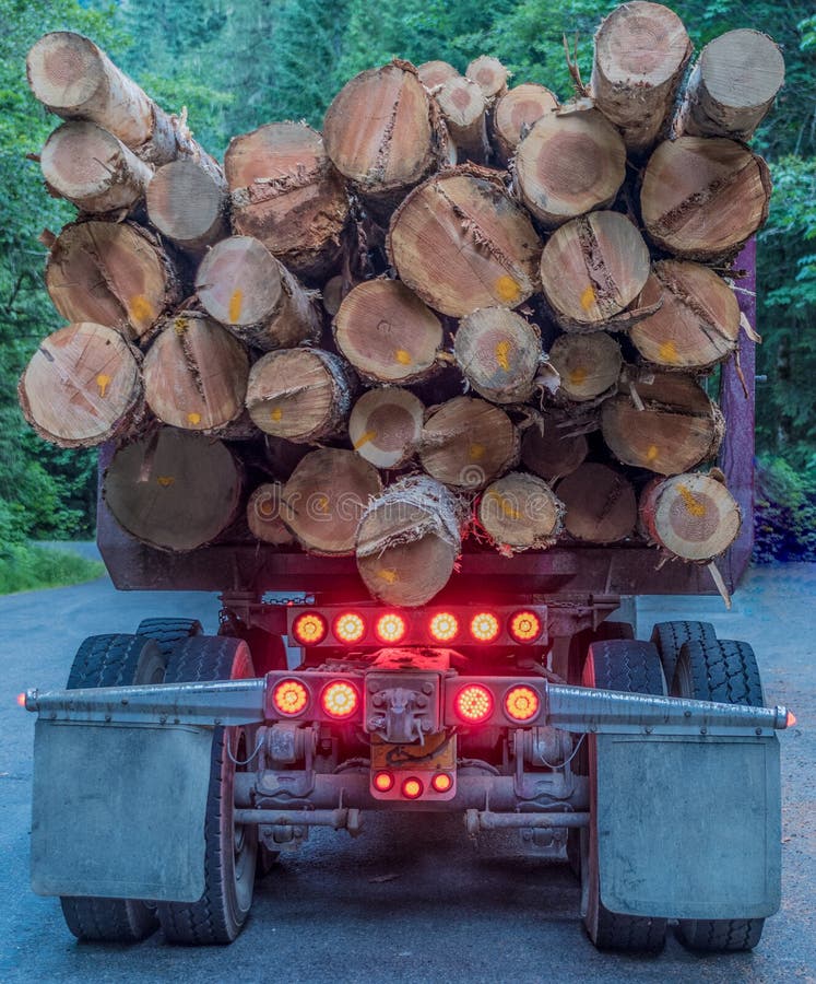 Back of Logging Truck stock photo. Image of logging, pine - 98789658