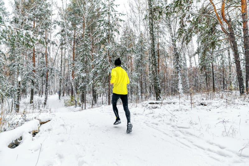 Back Male Runner Run Winter Forest Stock Photo - Image of jogging, real ...