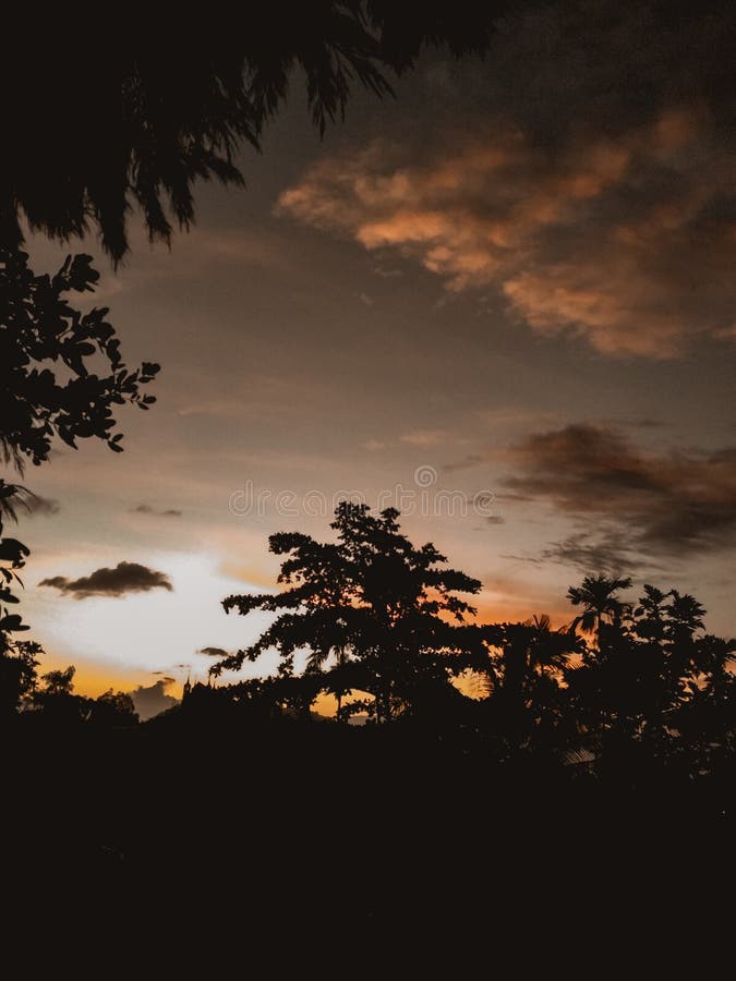 Back in the morning sun stock photo. Image of sunlight - 207397534