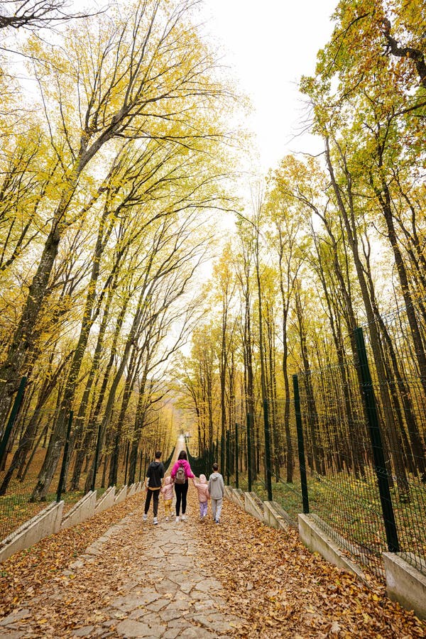 Back of Mother with Four Kids on Path at Autumn Fall Forest Stock Image ...