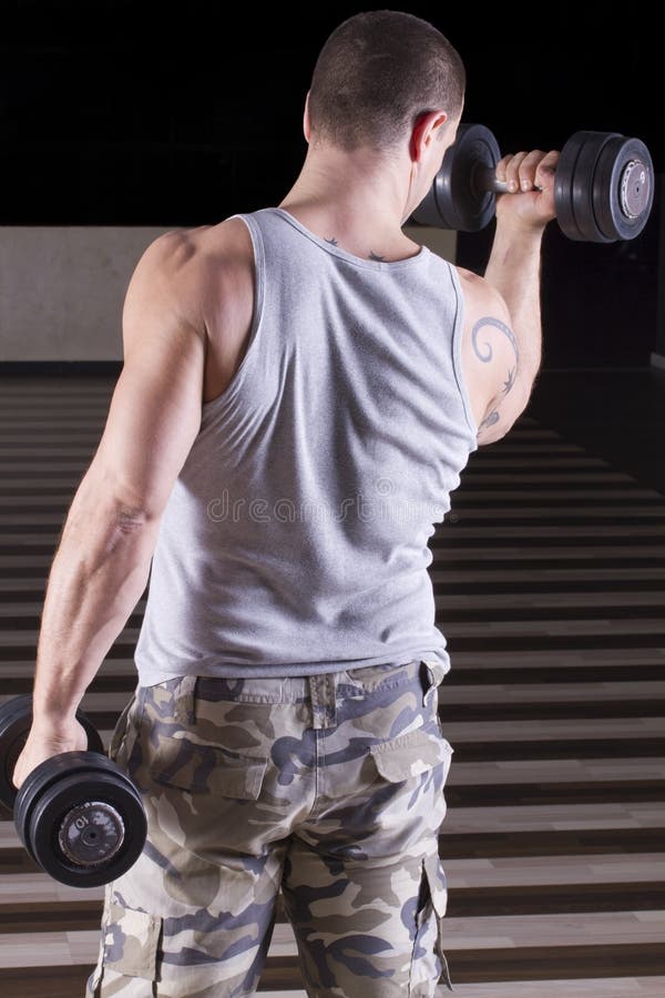 Back Muscles stock image. Image of handsome, human, people - 23843577