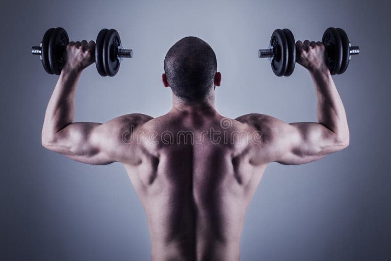 Back muscles stock image. Image of person, exercising - 29358169
