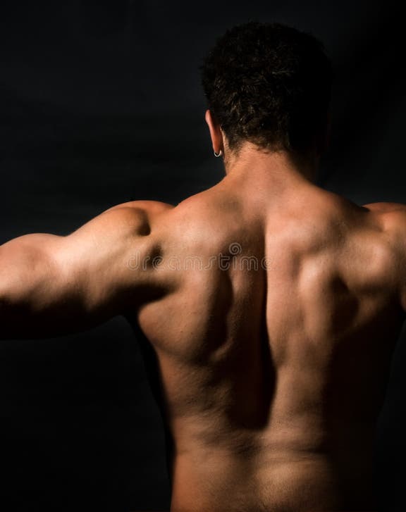 Back of Muscular Male Bodybuilder Stock Image - Image of shoulder ...