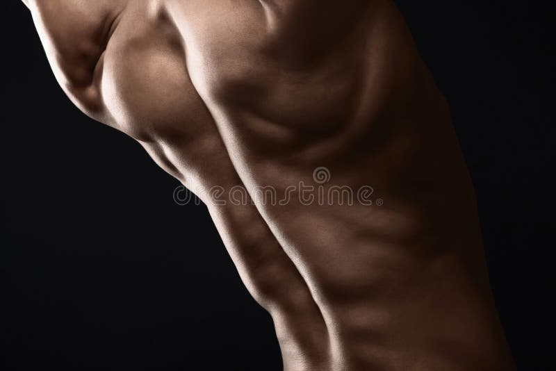 Back of Muscular Male Bodybuilder Stock Image - Image of shoulder ...