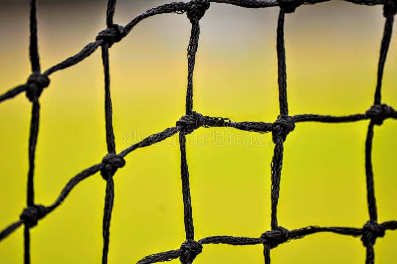 Back of the net! stock photo. Image of back, sport, goalbox - 121634500