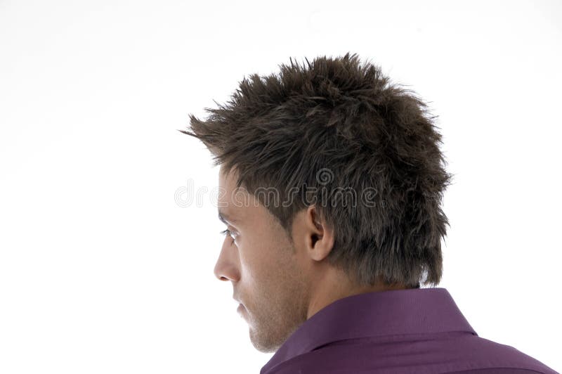 Back Pose Of Man's Face Stock Image - Image: 6905181