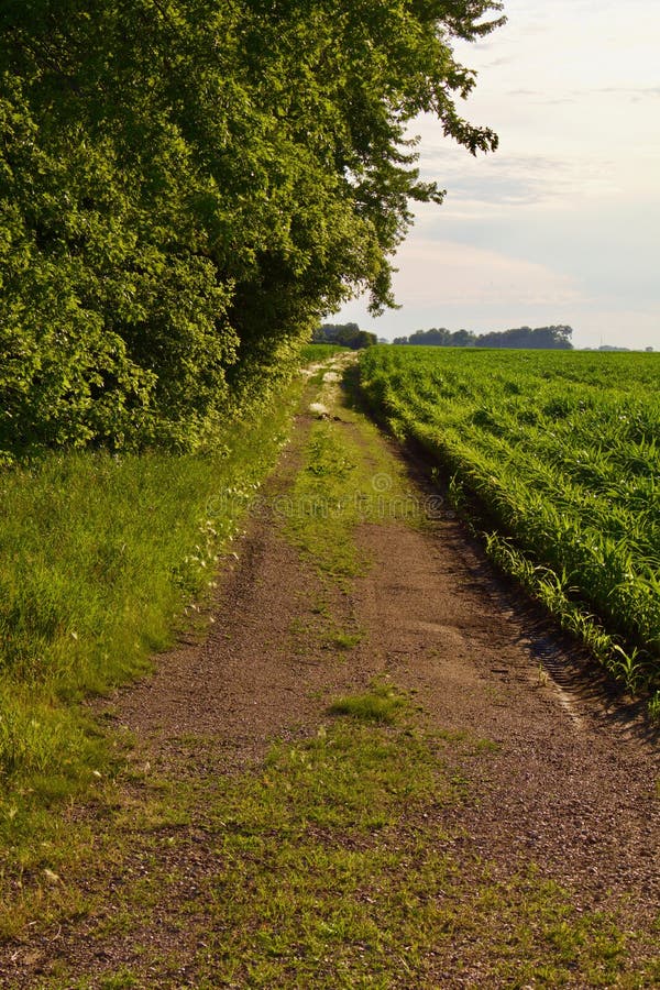 Farm Lane at the Back of the Field Stock Image - Image of green, cloudy ...