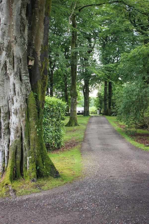 Back road of Scotland stock image. Image of back, calm - 143521427